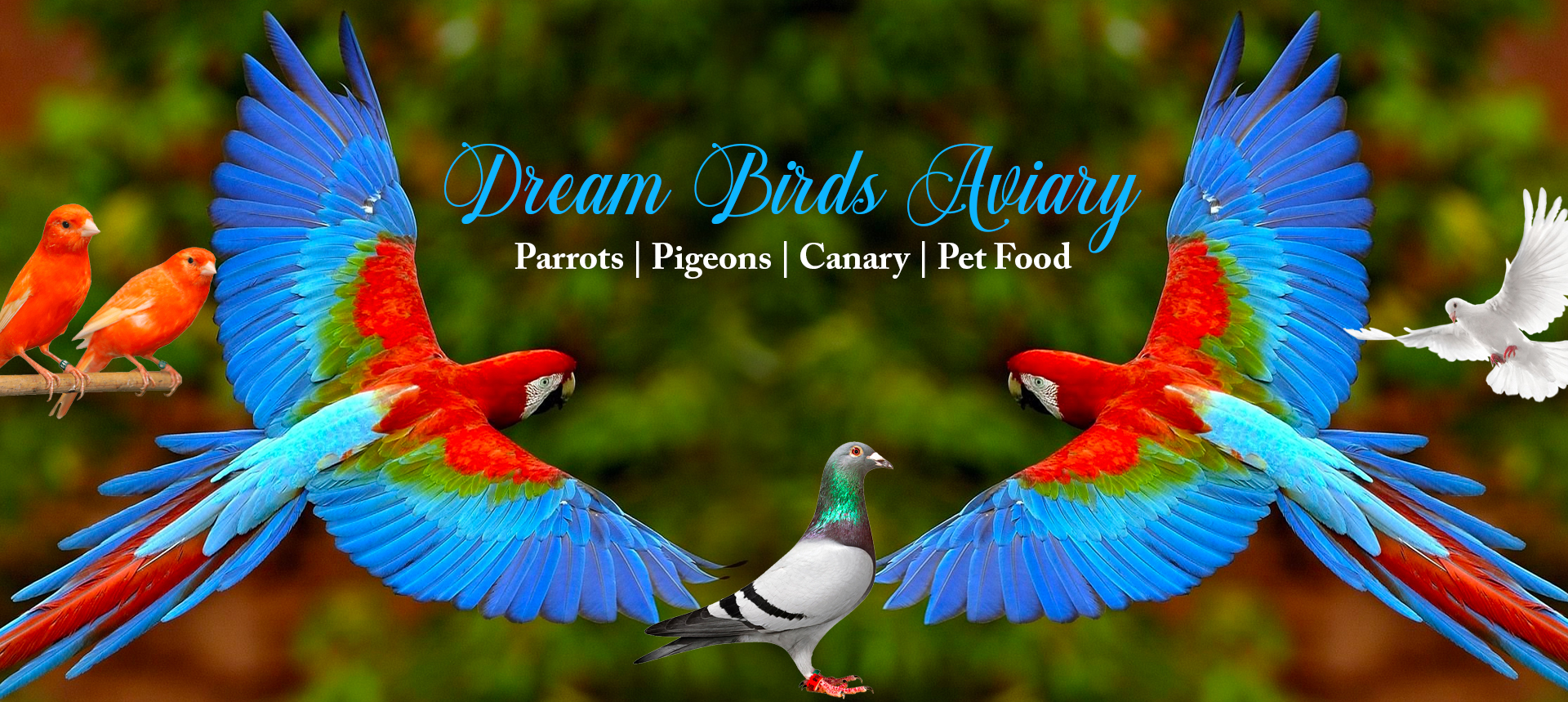 Dream Birds Aviary